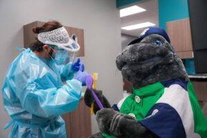 Dental Hygiene | State College of Florida, Manatee - Sarasota