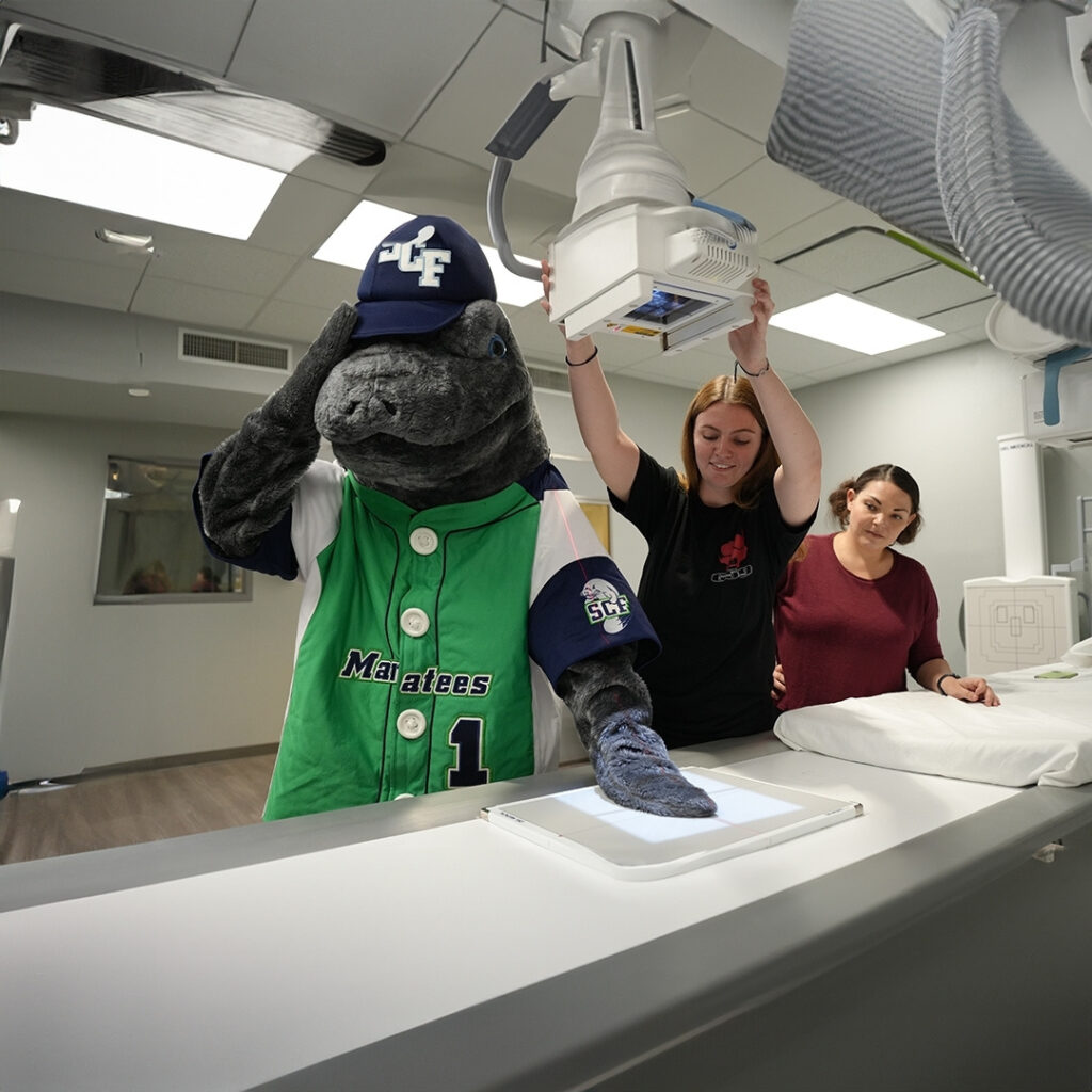 Radiography [2023] | State College of Florida, Manatee - Sarasota