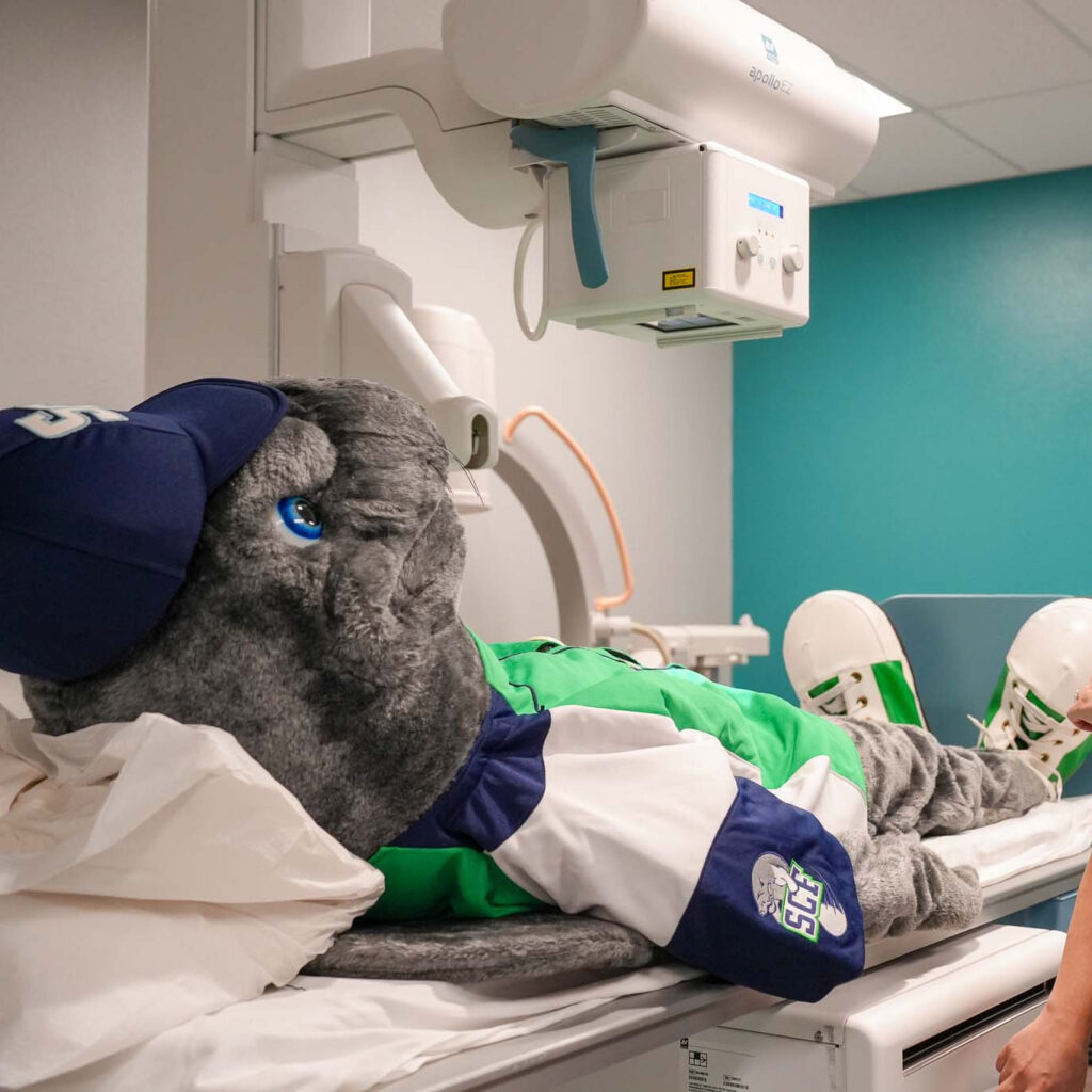 Radiography | State College of Florida, Manatee - Sarasota